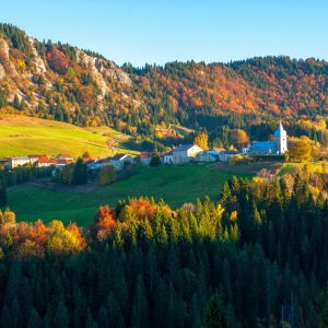 Hautes-Combes en Haut-Jura, Randonnée et Ski nordique - Jura Tourisme