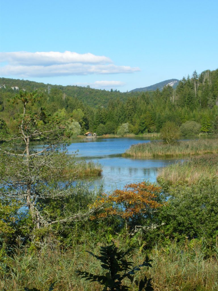 Lac de Chanon à MARTIGNA : Jura Tourisme