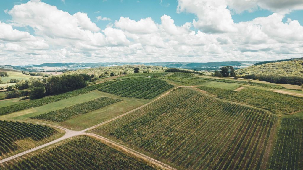 Domaine Laura Bourdy à ARLAY, Jura : Jura Tourisme