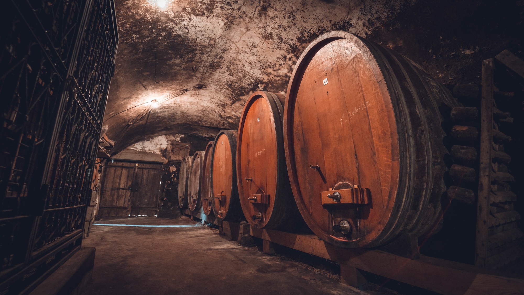 Domaine Laura Bourdy à ARLAY, Jura : Jura Tourisme