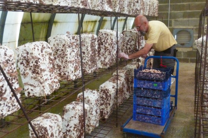 Les Serres de Ney à NEY, Autres produits de Bourgogne-Franche-Comté ...