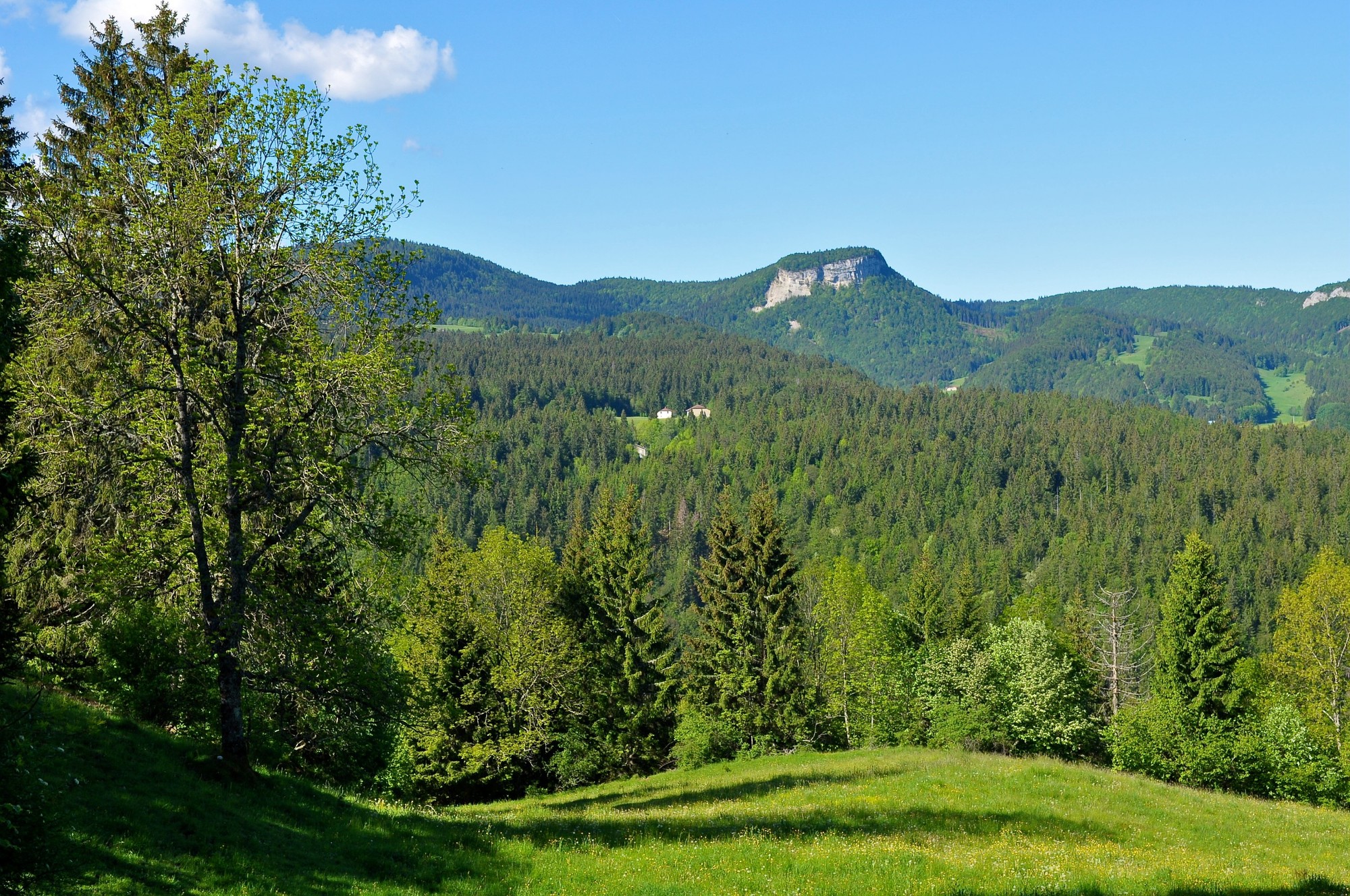 Tour du Goulet - 20B à Prémanon : Jura Tourisme