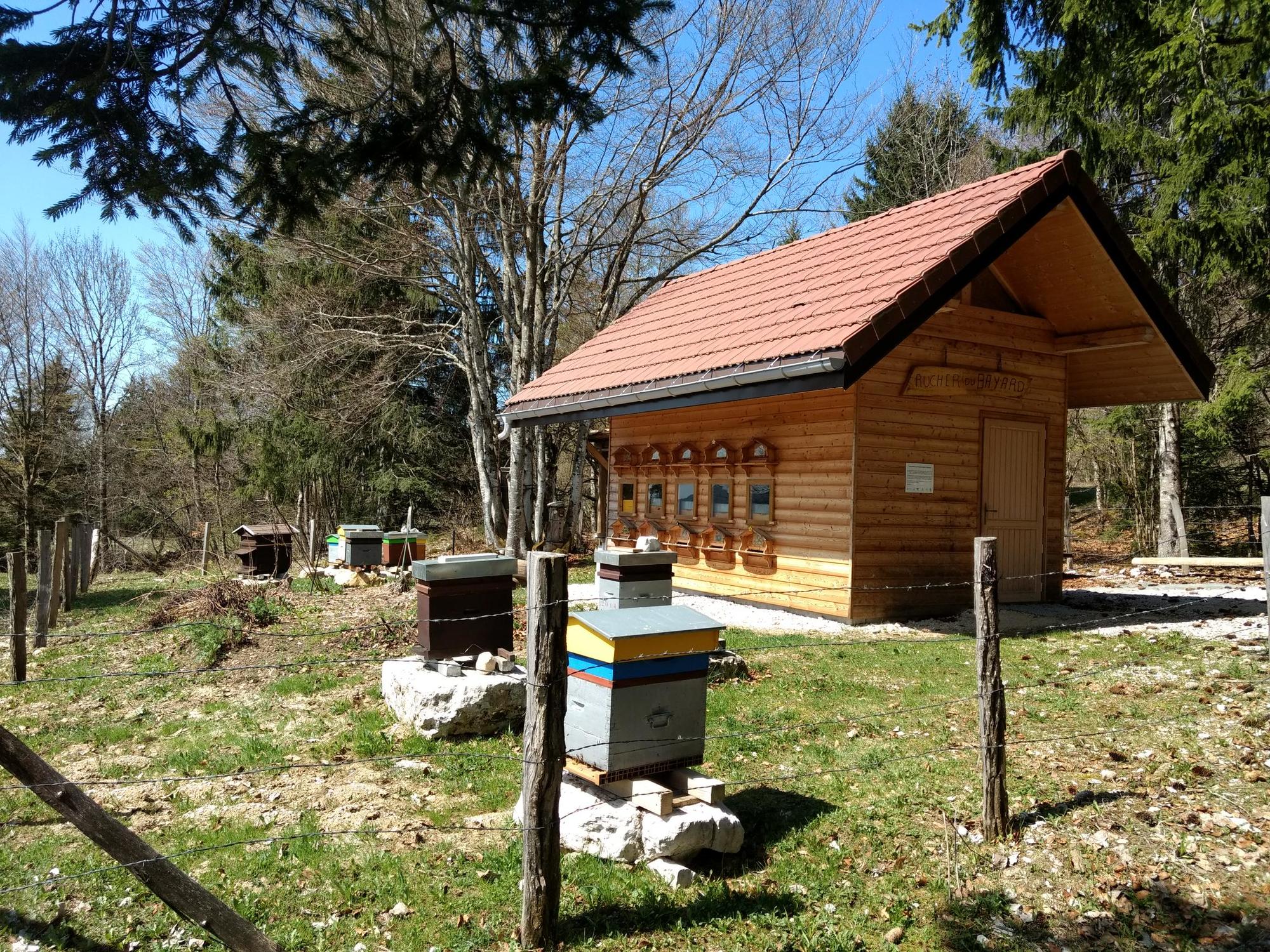 Le Rucher du Bayard à FONCINE-LE-HAUT, Produit apicole Jura : Jura Tourisme